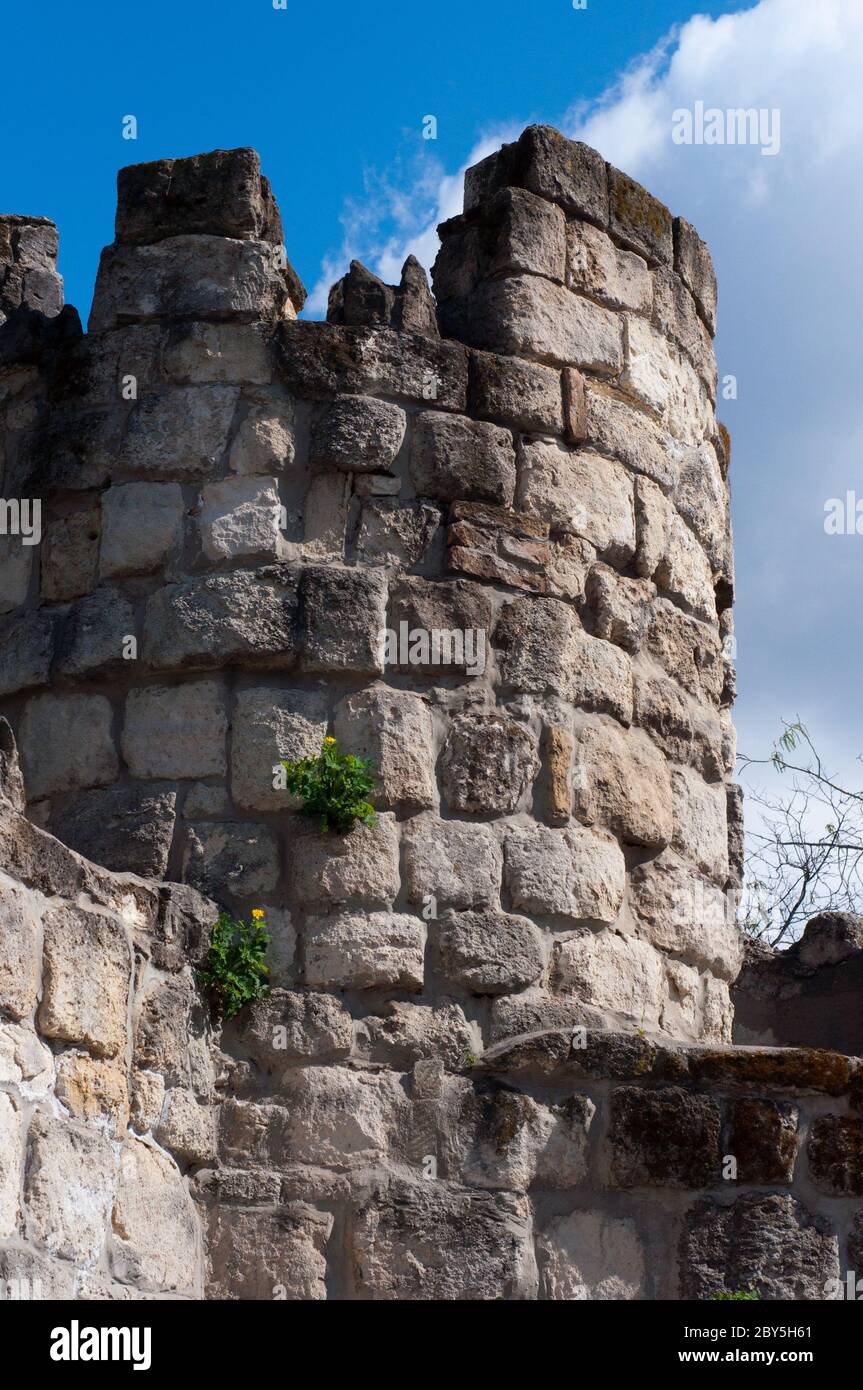 Castle wall window hi-res stock photography and images - Alamy