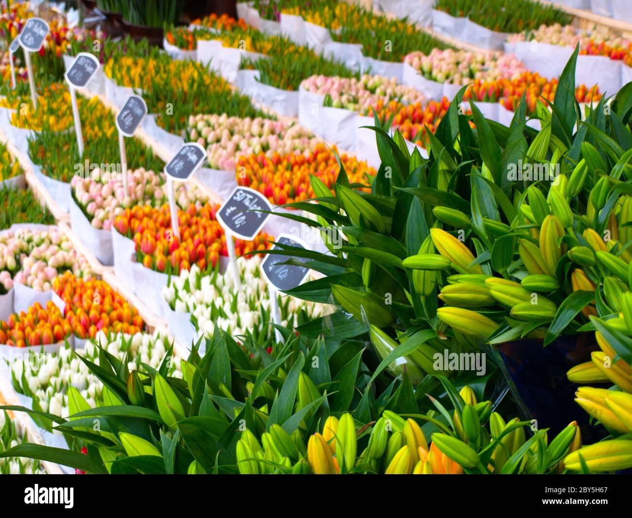 Bouquets of colorful tulips in a flower market, Amsterdam, Netherlands ...