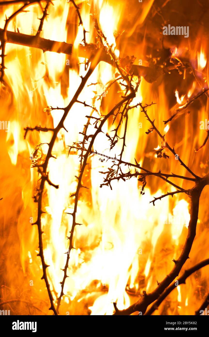 Wildfire Flames Smoke Burning High Resolution Stock Photography and ...