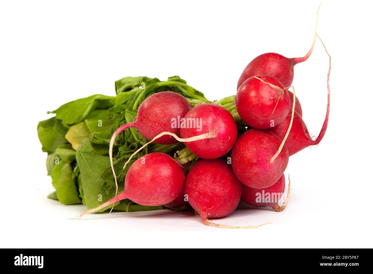 A bunch of fresh radishes isolated on white Stock Photo - Alamy