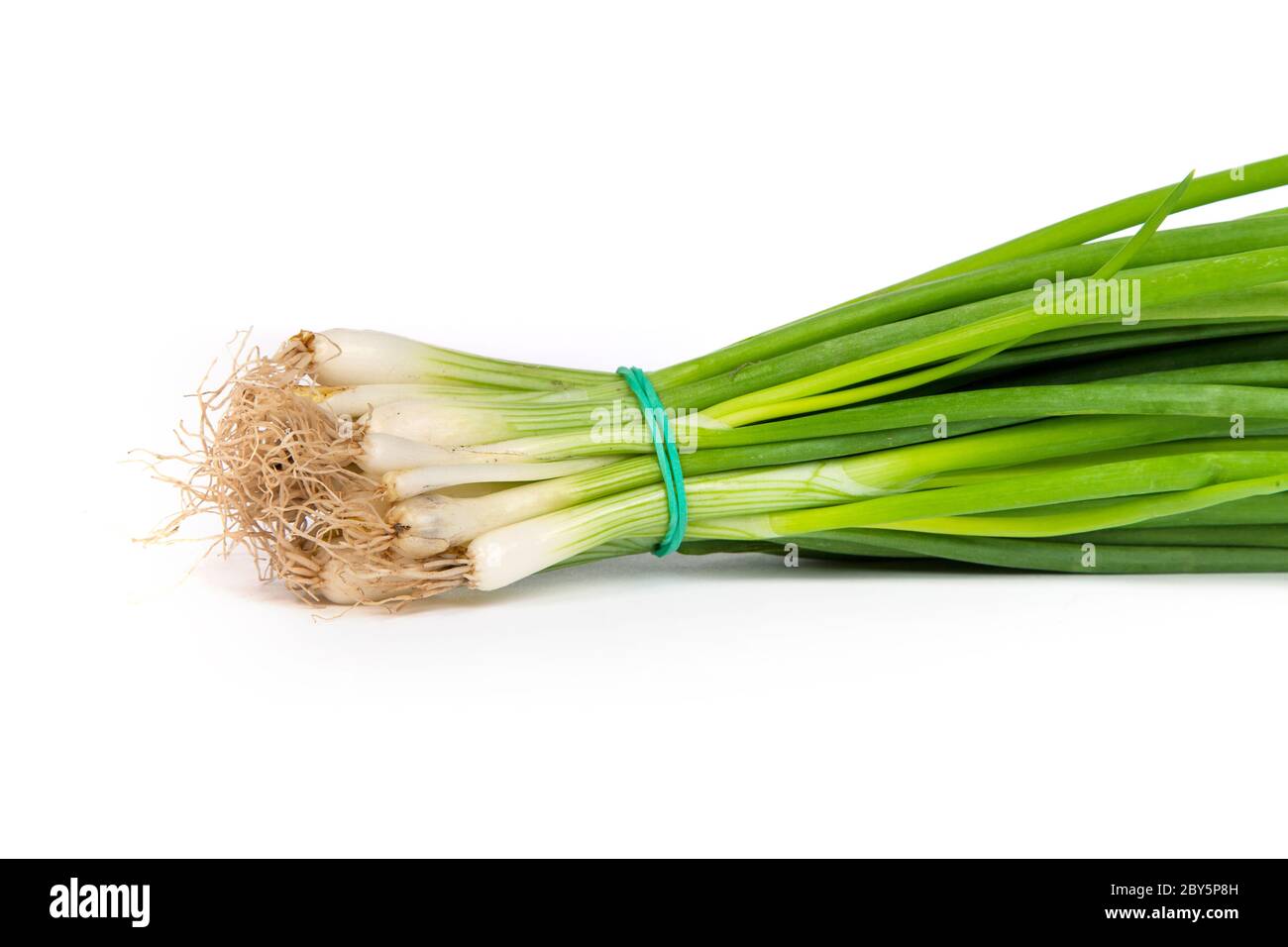 Fresh scallions isolated on white Stock Photo - Alamy