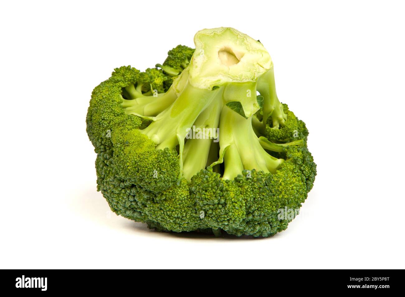Single broccoli floret isolated on white Stock Photo - Alamy
