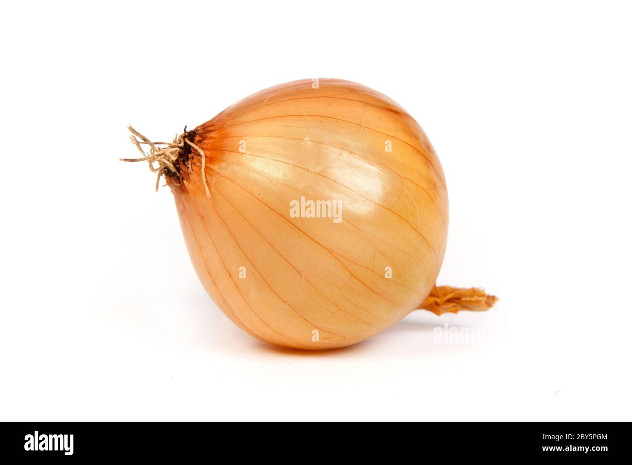 One onion, isolated on white Stock Photo - Alamy