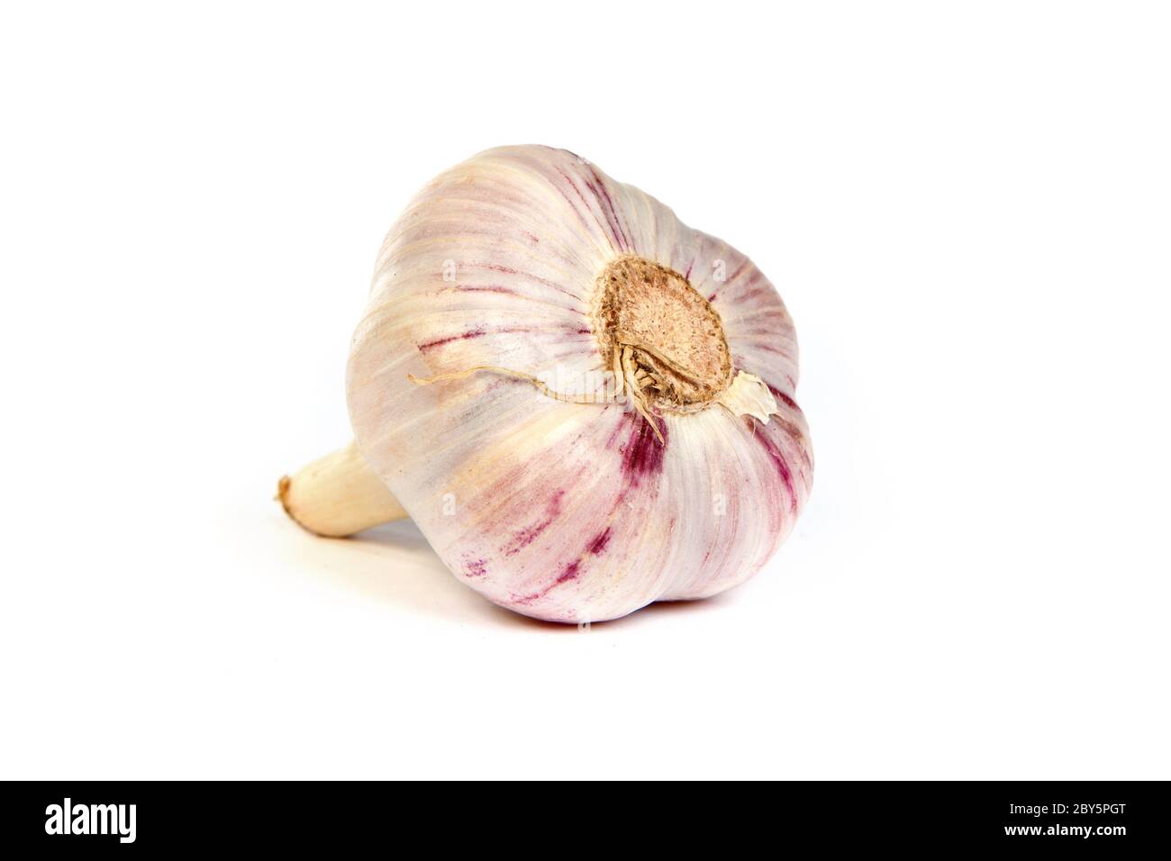 A head of garlic isolated on white Stock Photo - Alamy