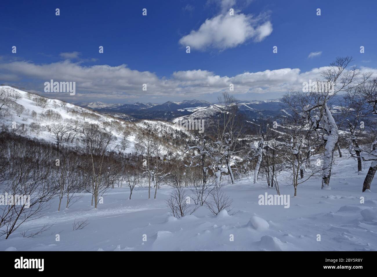 Winter in Hokkaido Japan Stock Photo - Alamy