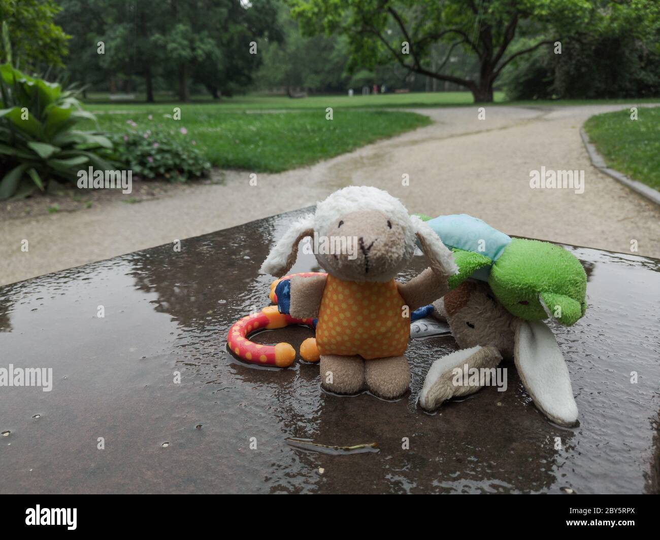 Group of lost and forgotten stuffed plush toy animals on display on ...