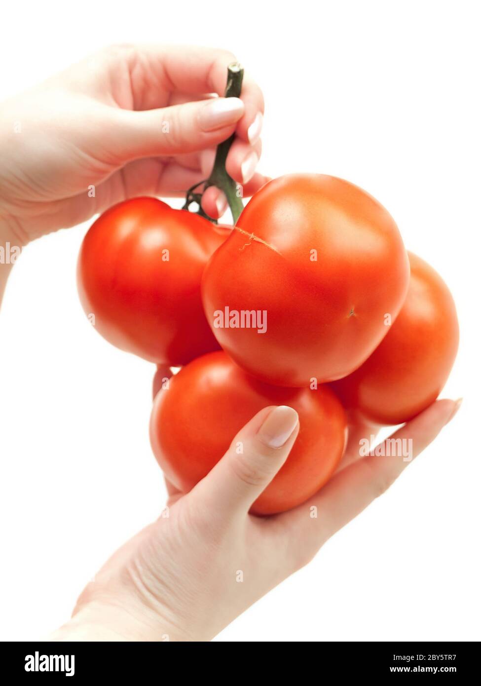 Tomatoes In Hands Stock Photo - Alamy