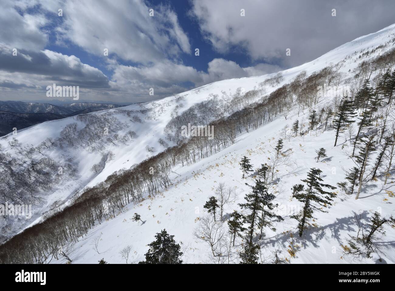 Winter in Hokkaido Japan Stock Photo - Alamy