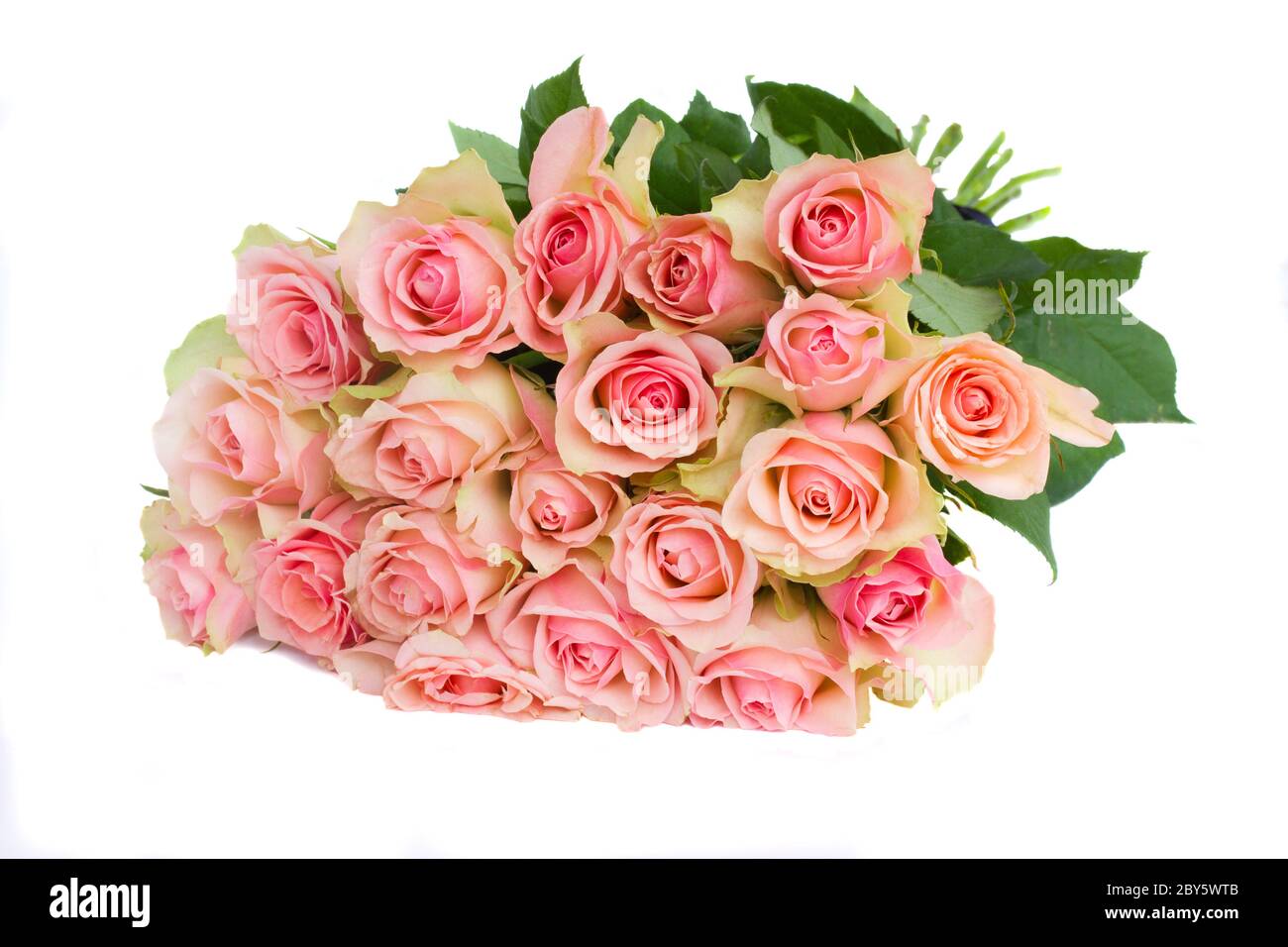 bouquet of pink roses Stock Photo - Alamy