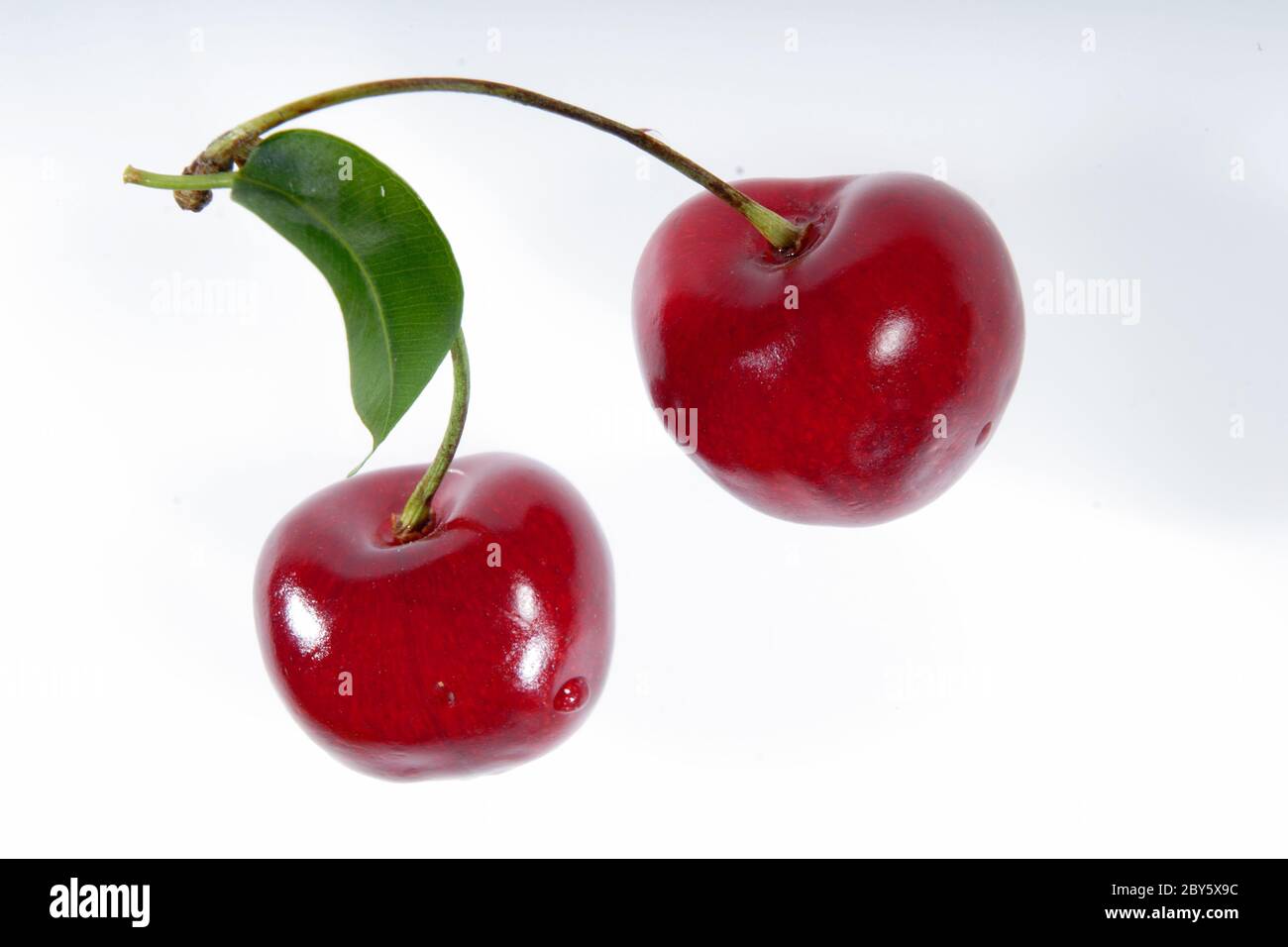 Two cherry hi-res stock photography and images - Alamy
