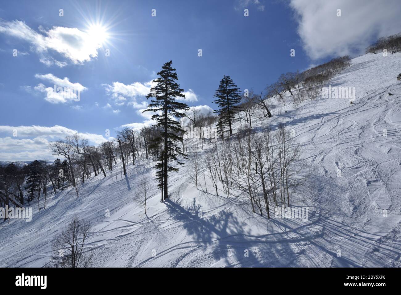 Winter in Hokkaido Japan Stock Photo - Alamy