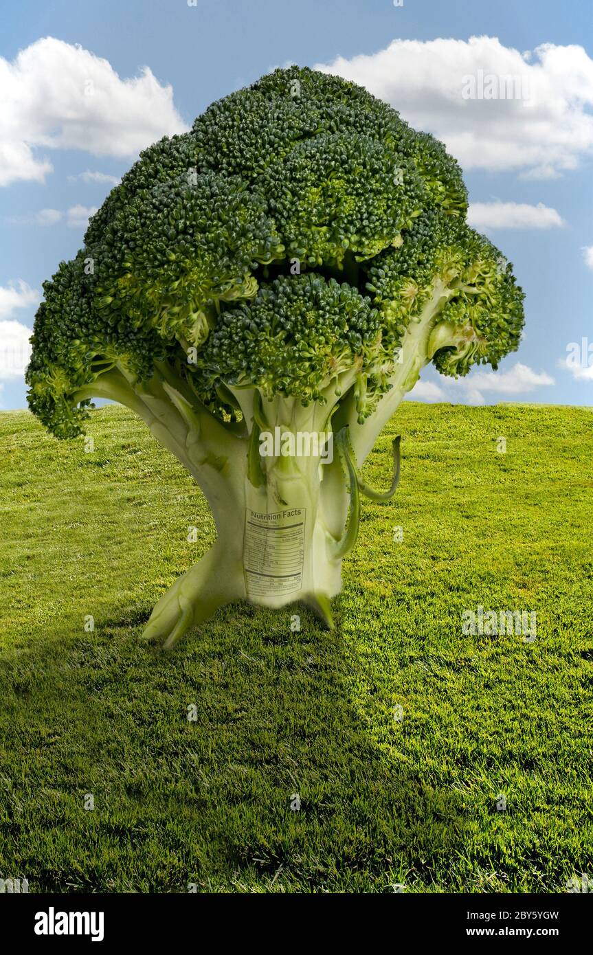 Broccoli florette hi-res stock photography and images - Alamy