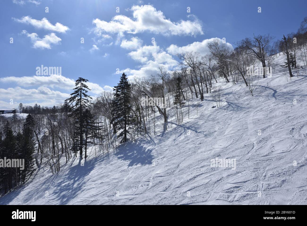 Winter in Hokkaido Japan Stock Photo - Alamy