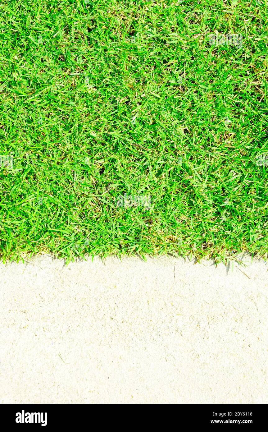 green grass and white sand Stock Photo - Alamy