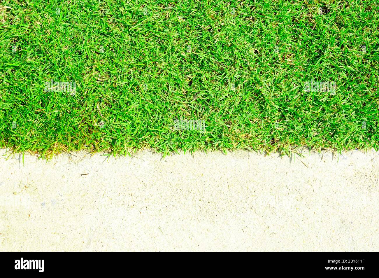 green grass and white sand Stock Photo - Alamy