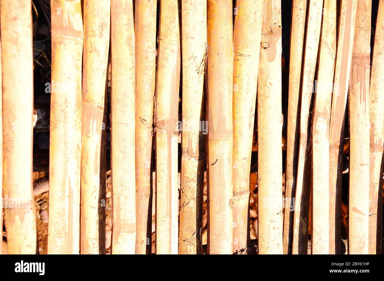 Good texture hi-res stock photography and images - Alamy