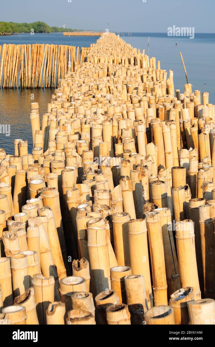 Bamboo pipes water hi-res stock photography and images - Alamy