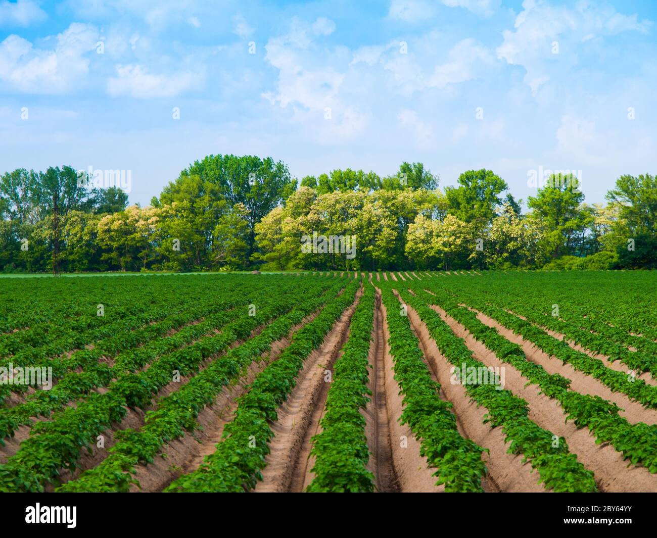 Field furrows hi-res stock photography and images - Alamy
