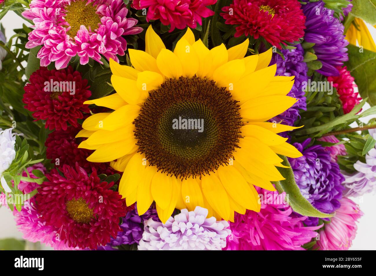 autumn flowers background Stock Photo - Alamy