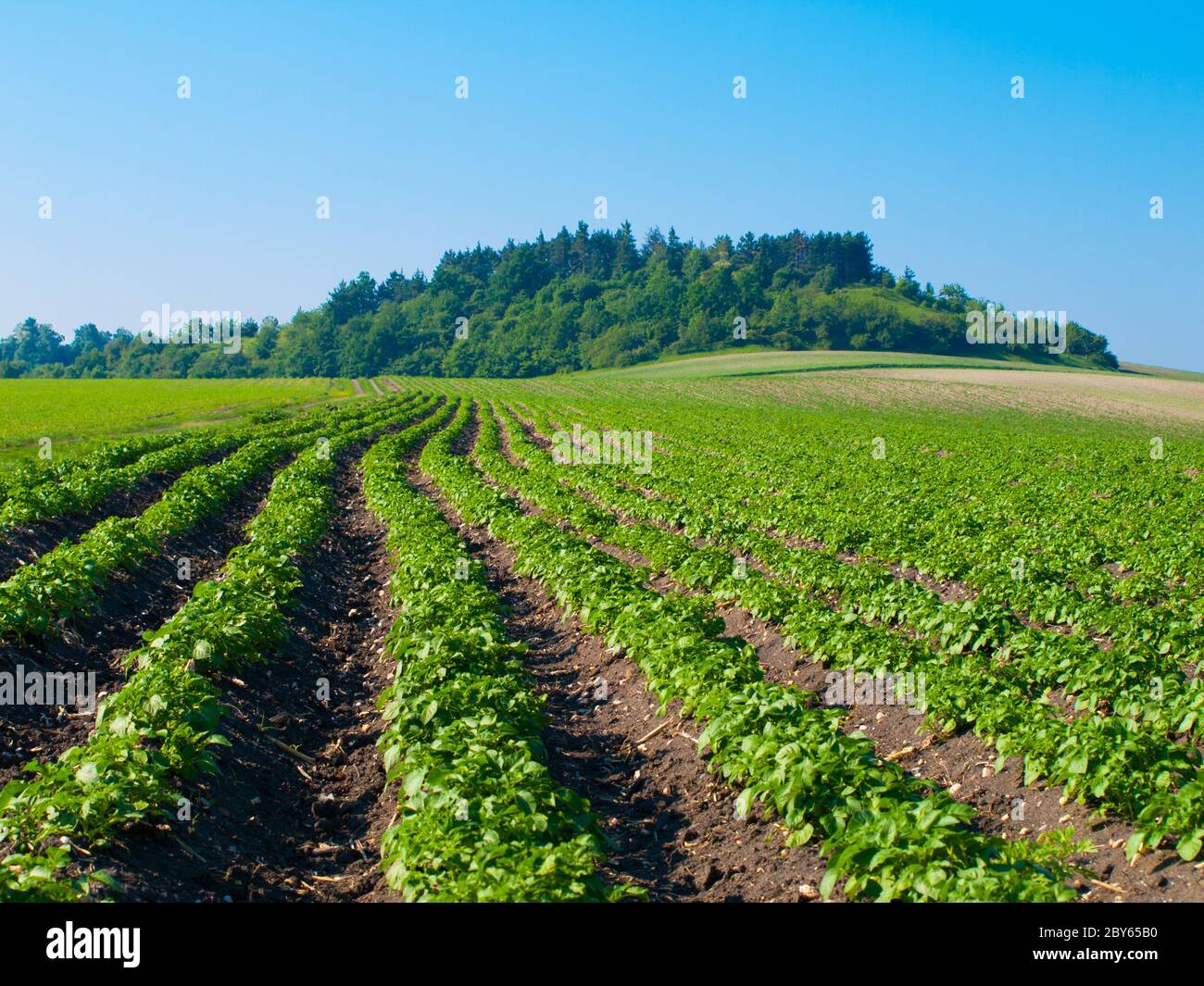 Field furrows hi-res stock photography and images - Alamy