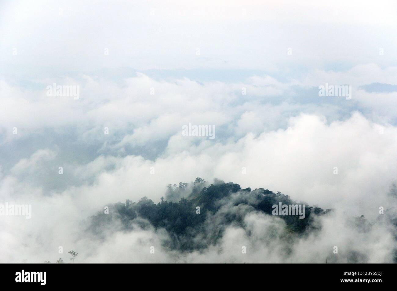 Mist cover hill hi-res stock photography and images - Alamy
