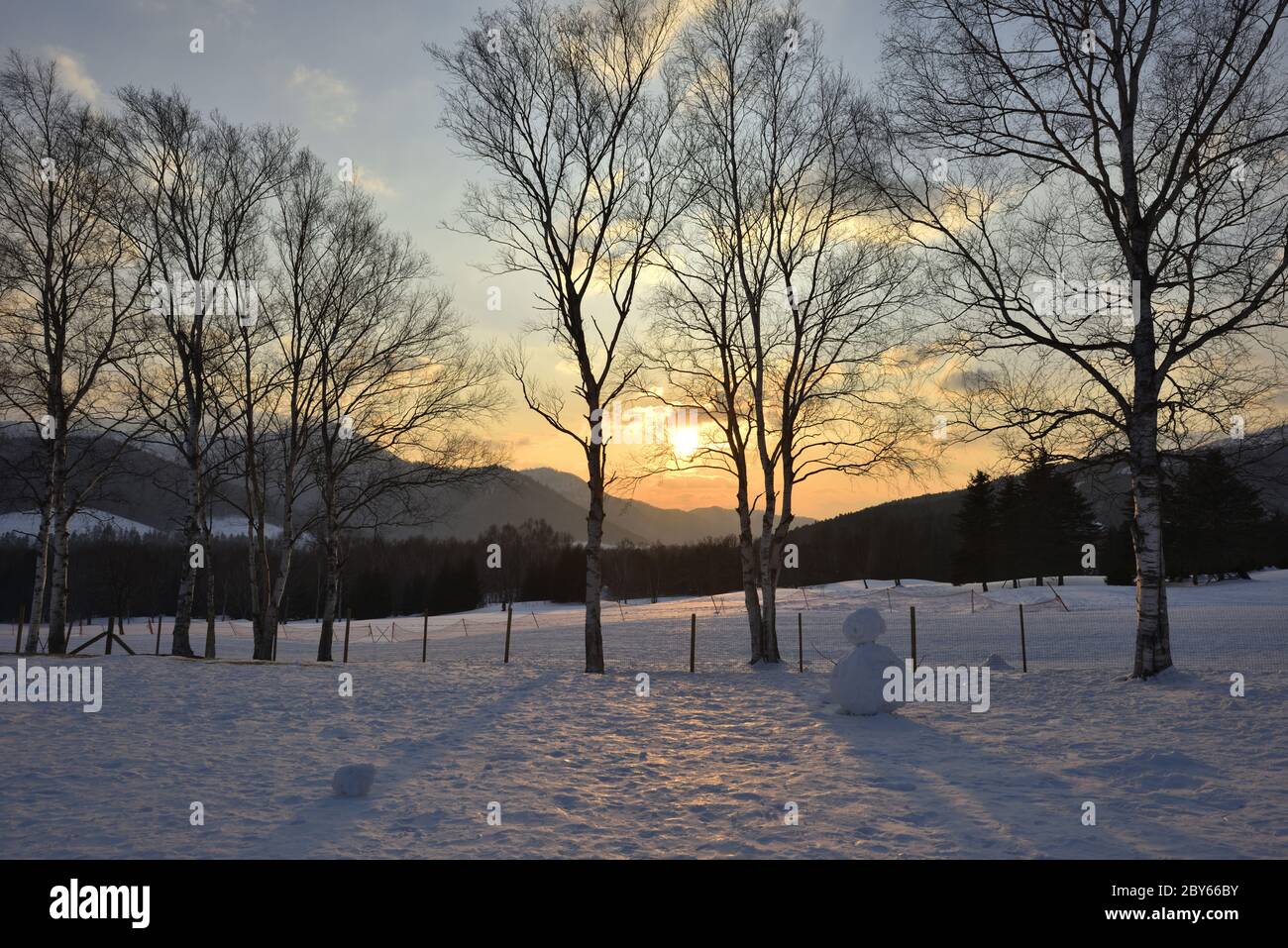 Winter in Hokkaido Japan Stock Photo - Alamy