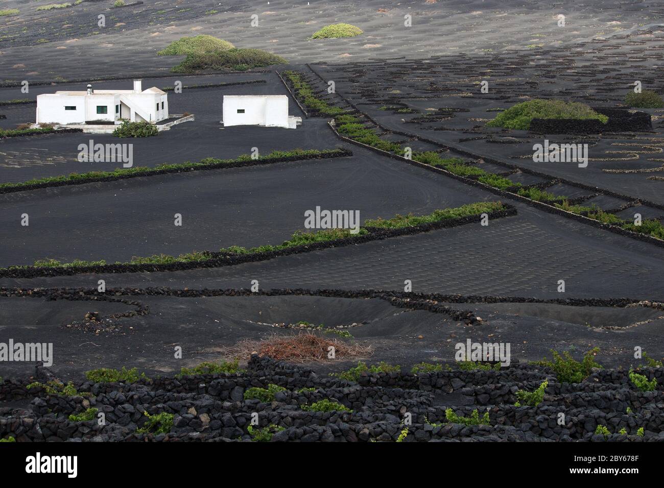 Growing into rust hi-res stock photography and images - Alamy