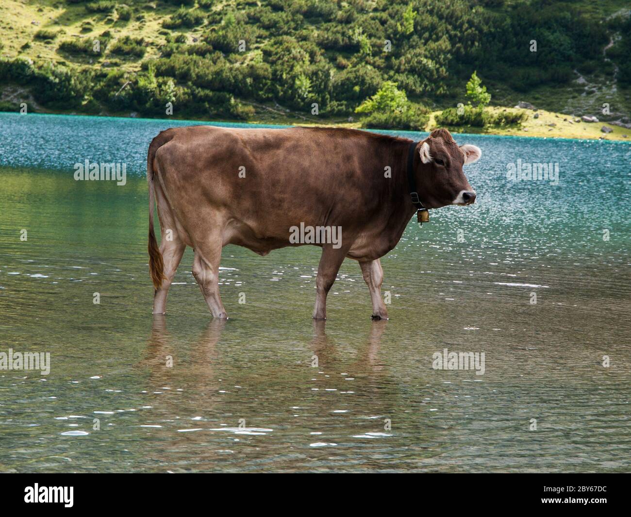 Milka country hi-res stock photography and images - Alamy