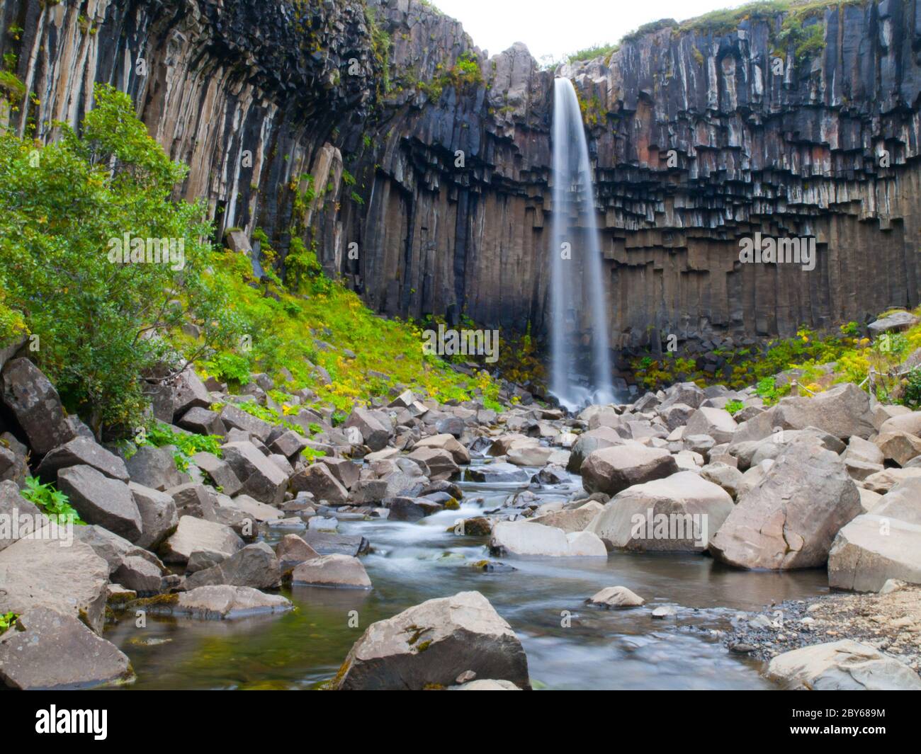 Svartifoss waterfall with basalt columns, Skaftafell National Park ...