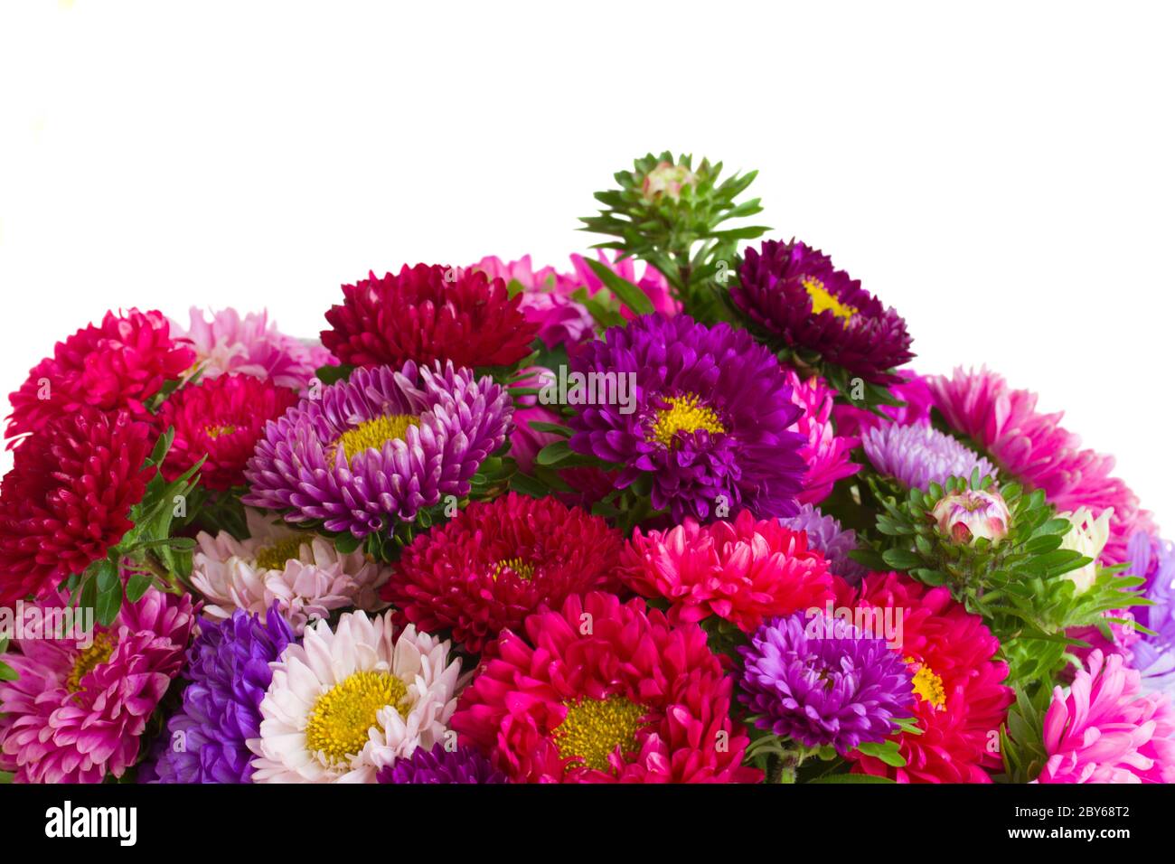 Aster autumn border hi-res stock photography and images - Alamy
