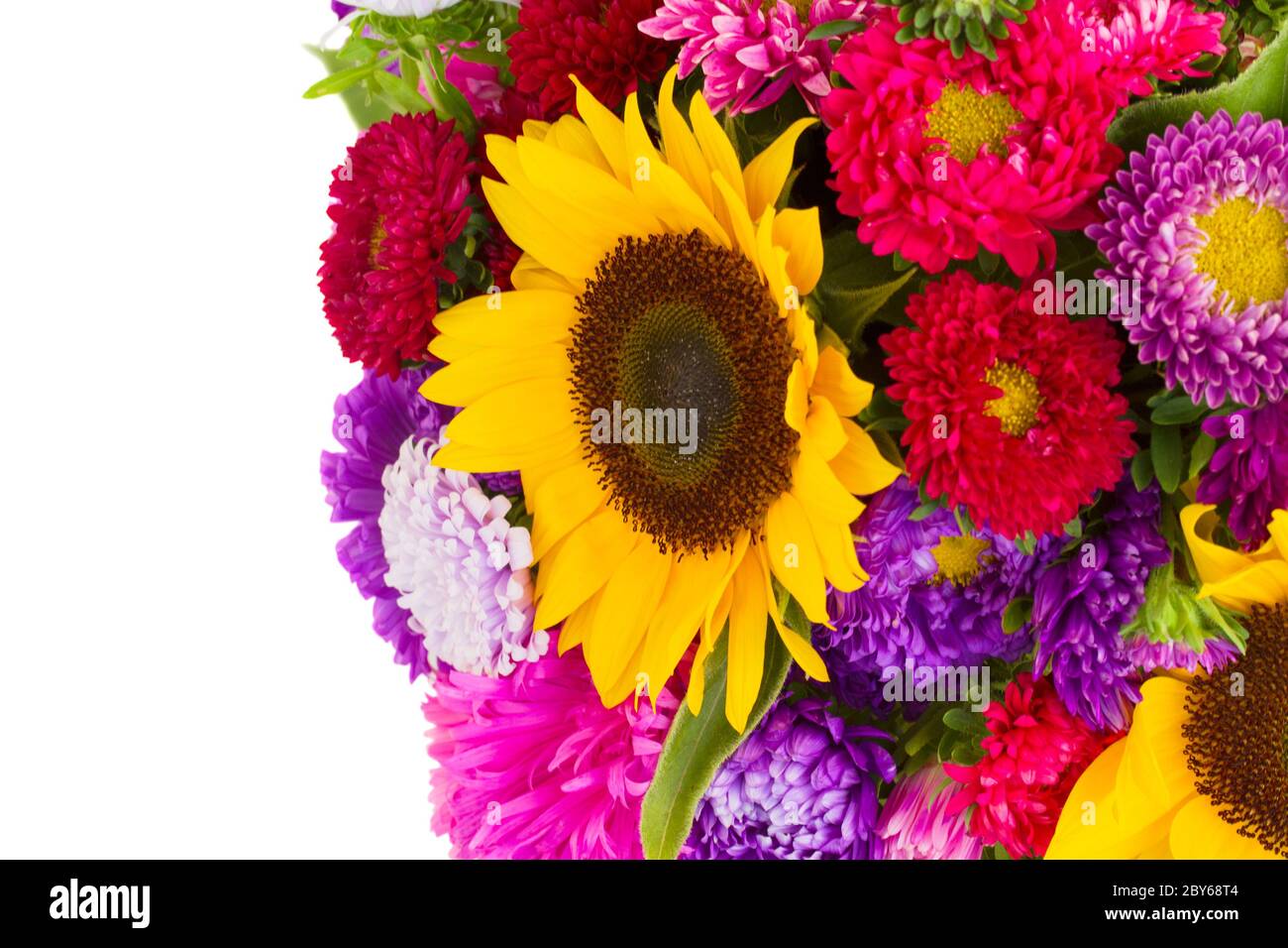 Aster Autumn Border High Resolution Stock Photography and Images - Alamy