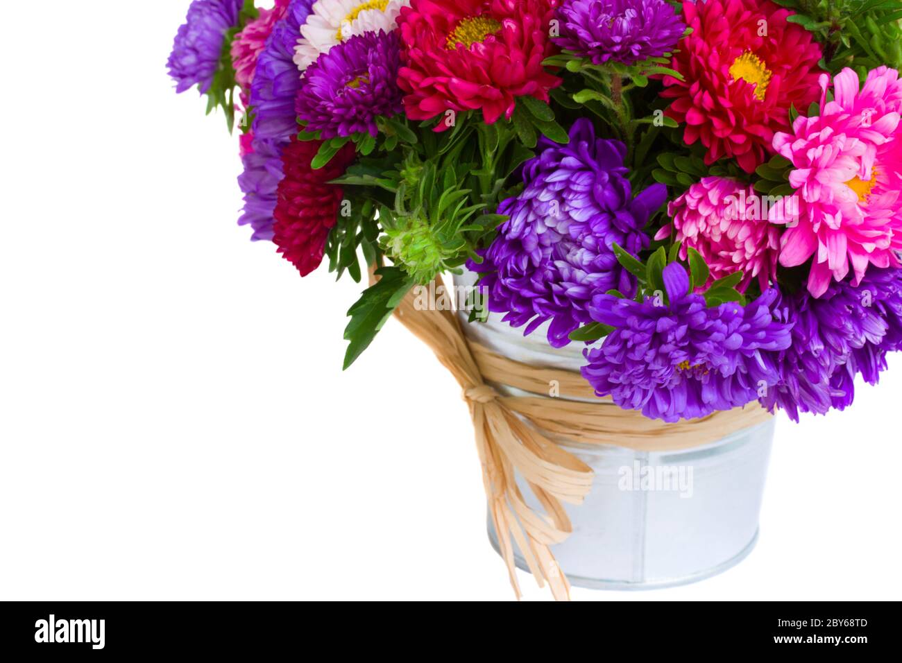 mixed aster flowers Stock Photo - Alamy