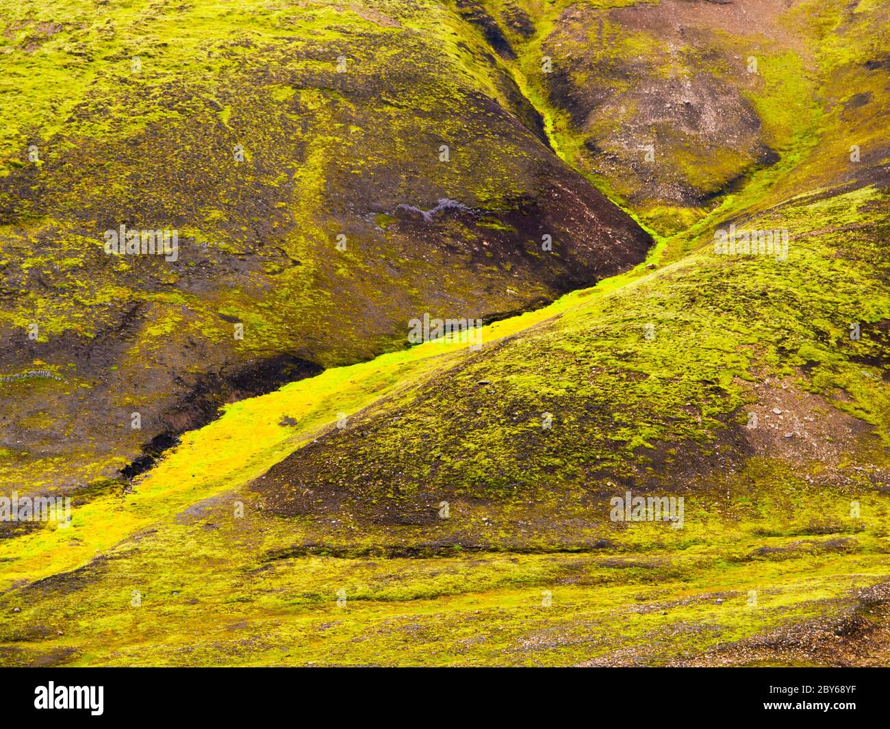 Green algae in geothermal area, Landmannalaugar, Iceland Stock Photo ...