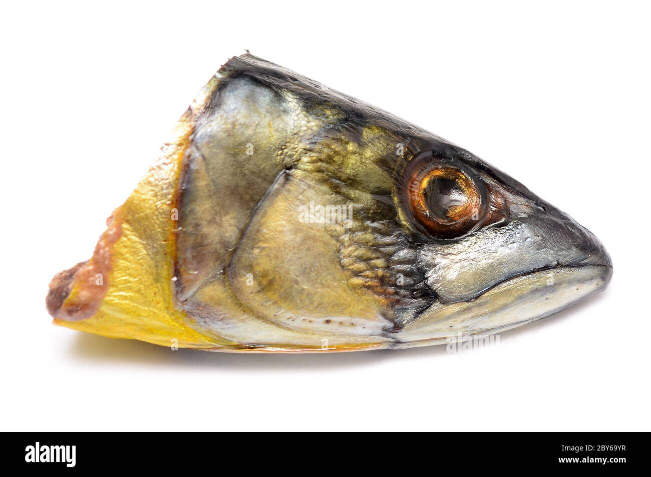 Mackerel skin hi-res stock photography and images - Alamy