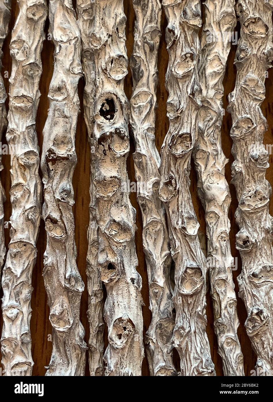 Tree knots hi-res stock photography and images - Alamy