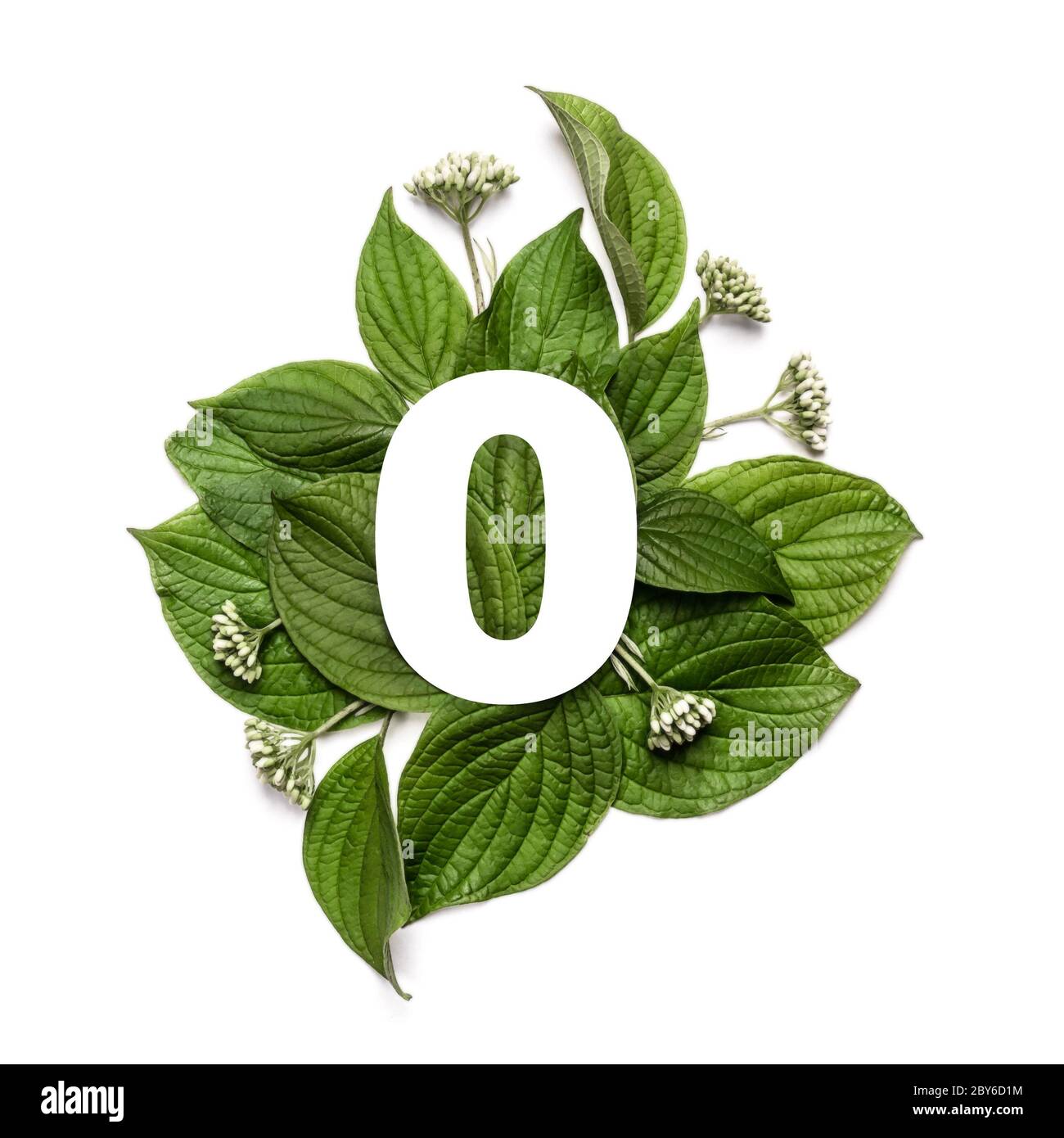 Paper number zero on background of green leaves. Minimal creative ...