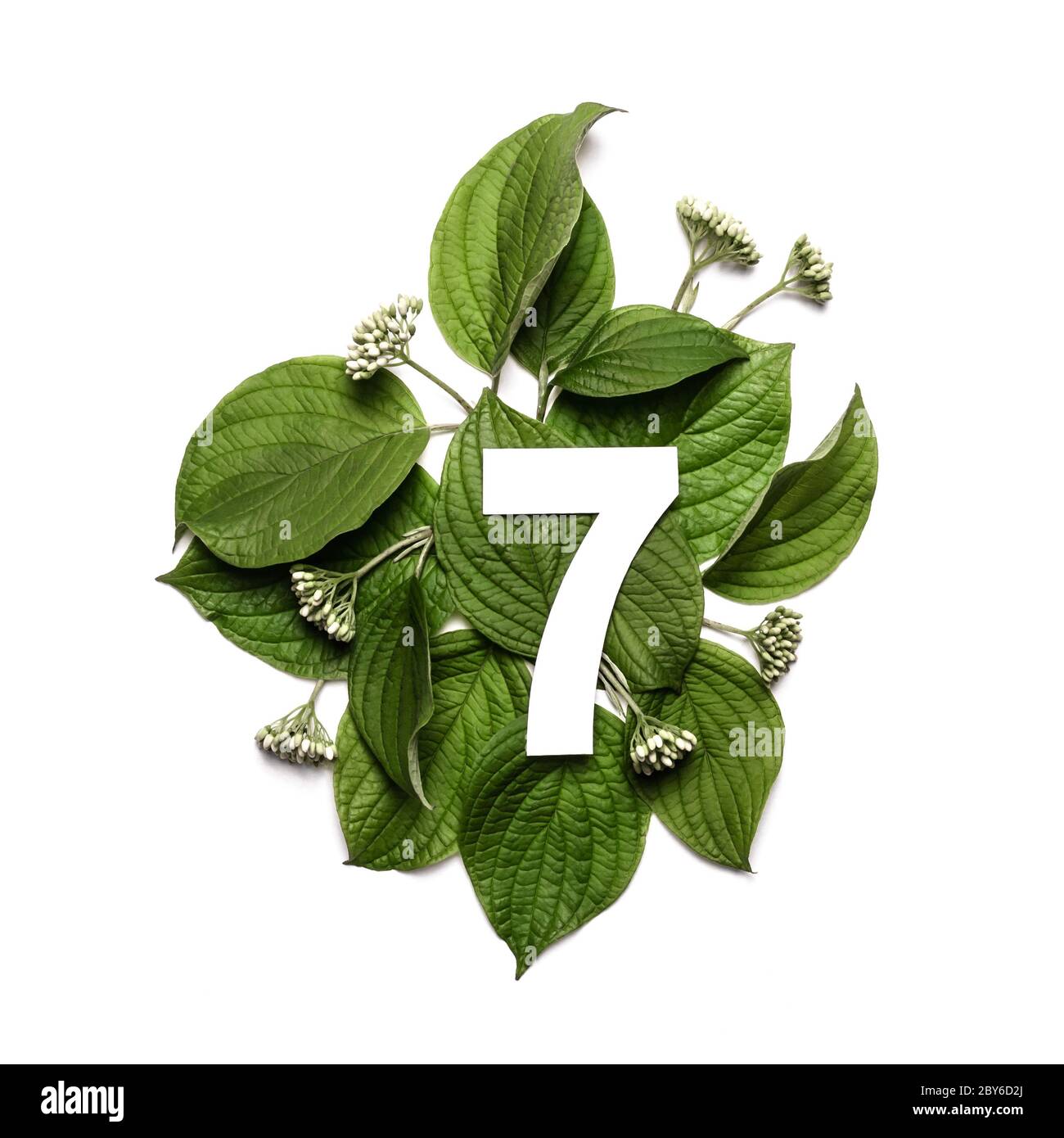 Paper number seven on background of green leaves. Minimal creative ...