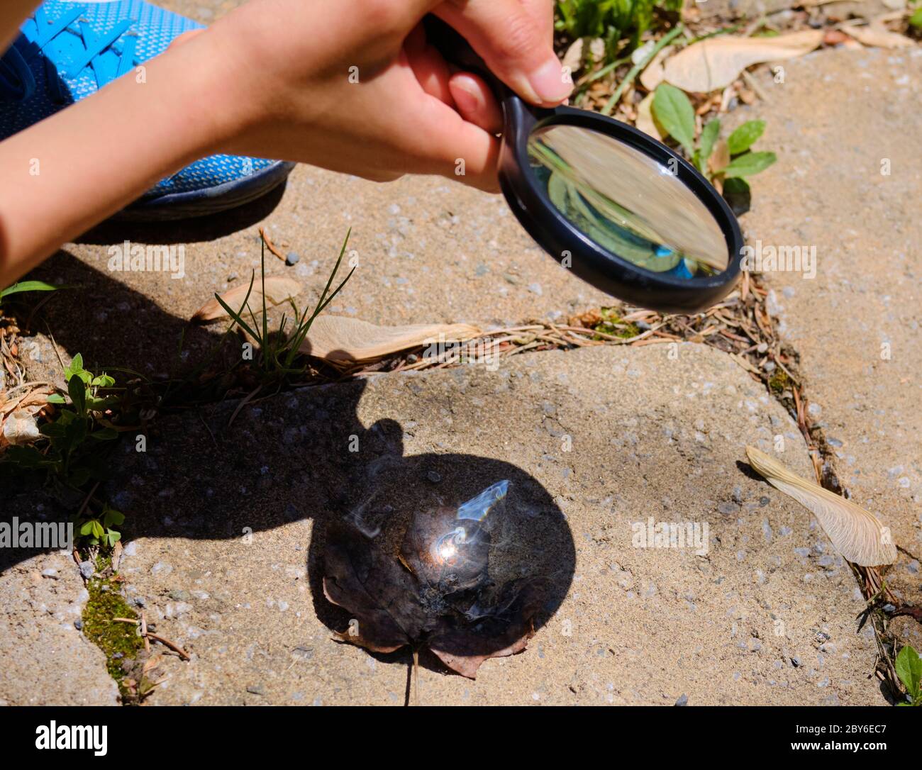 Hands of a young boy using a magnifying glass to start a fire. View of ...