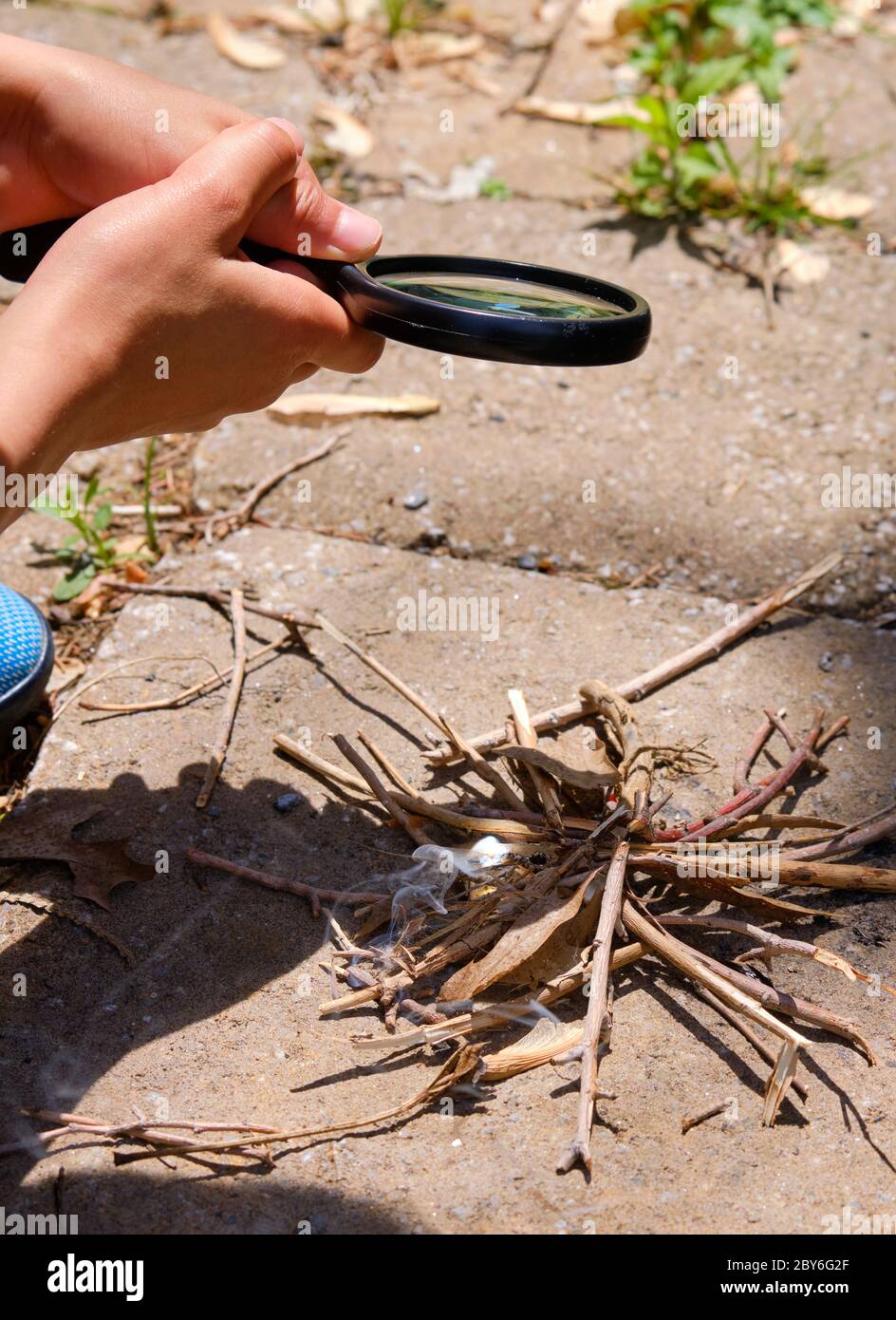 Hands of a young boy using a magnifying glass to start a fire. View of ...