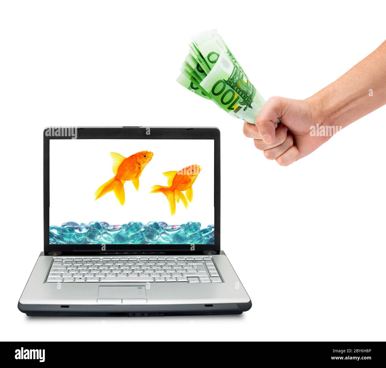 Goldfish hand fish animal Cut Out Stock Images & Pictures - Alamy