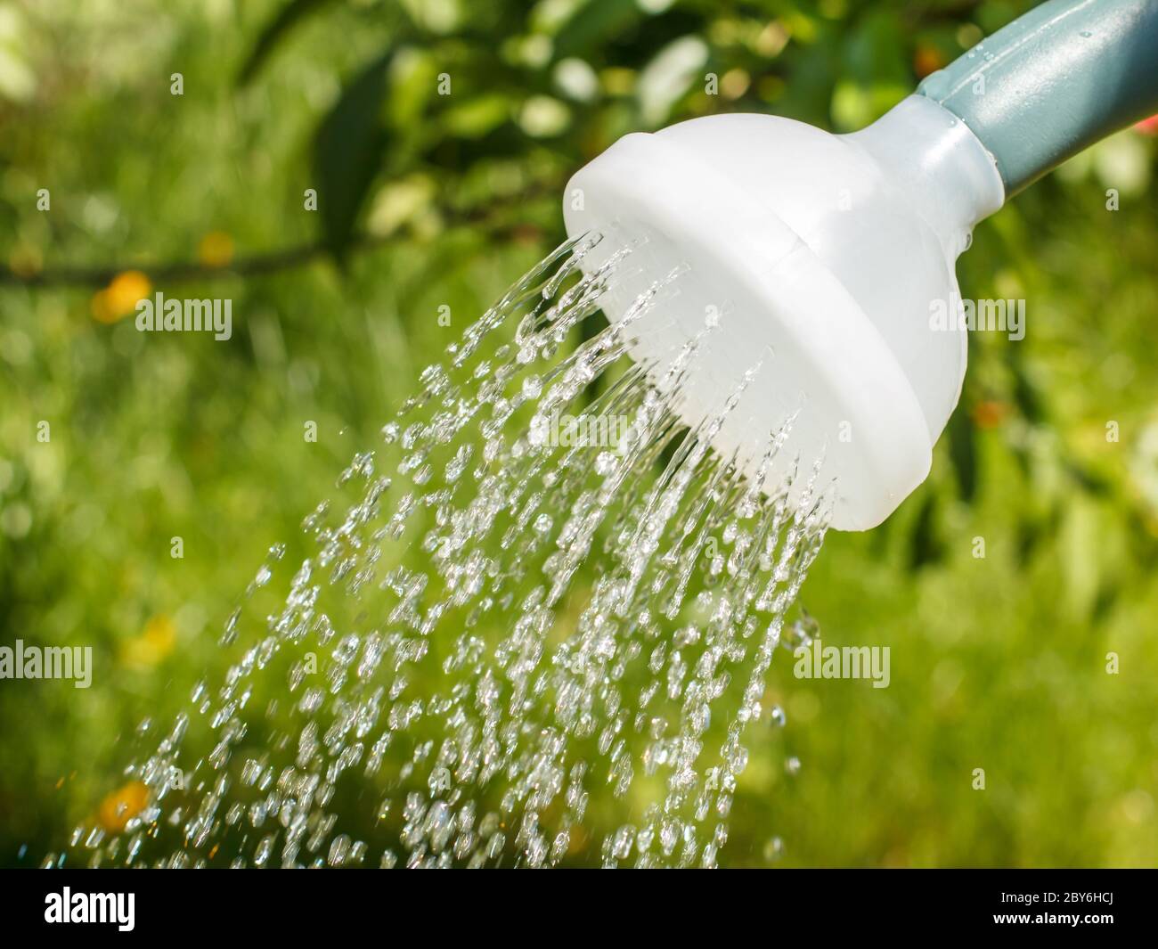 Close-up water pouring from a plastic watering can on a backdrop of a ...