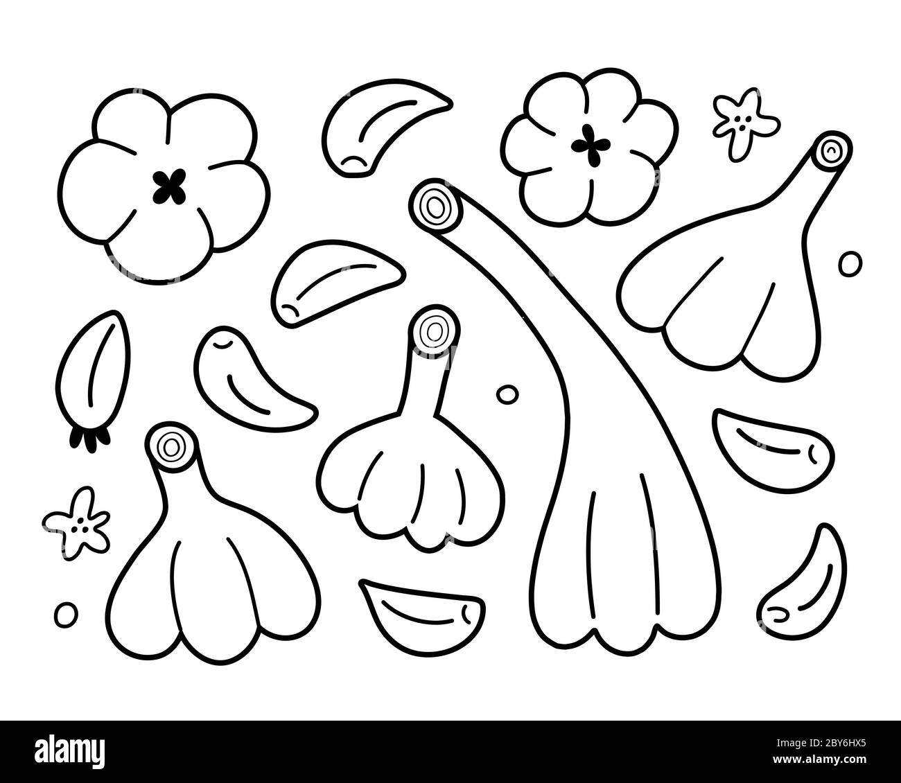 Garlic vegetable icon linear Cut Out Stock Images & Pictures - Alamy