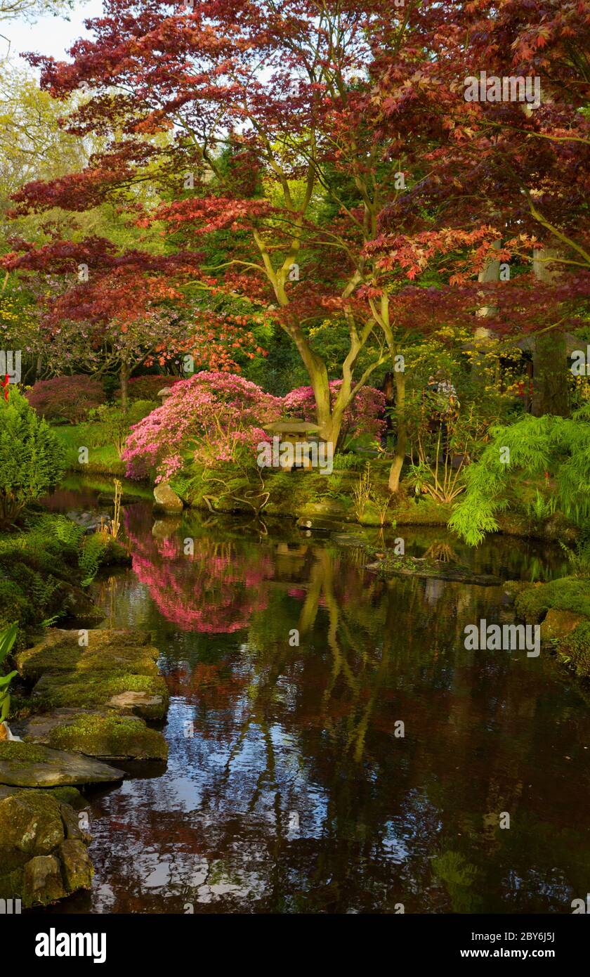 Japanese hedge hi-res stock photography and images - Alamy