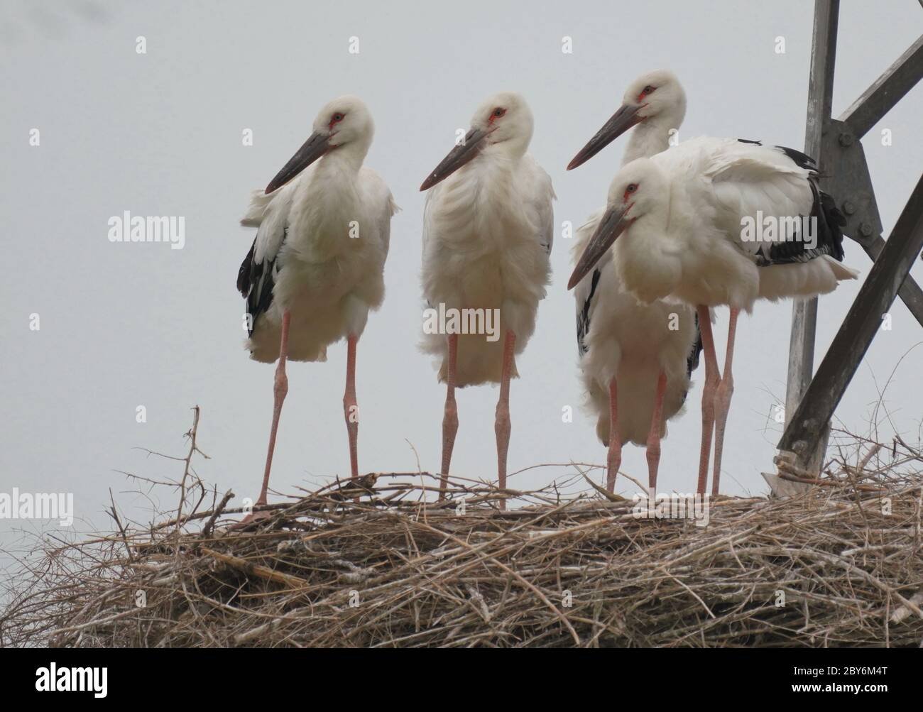 Coastal credit union hi-res stock photography and images - Alamy