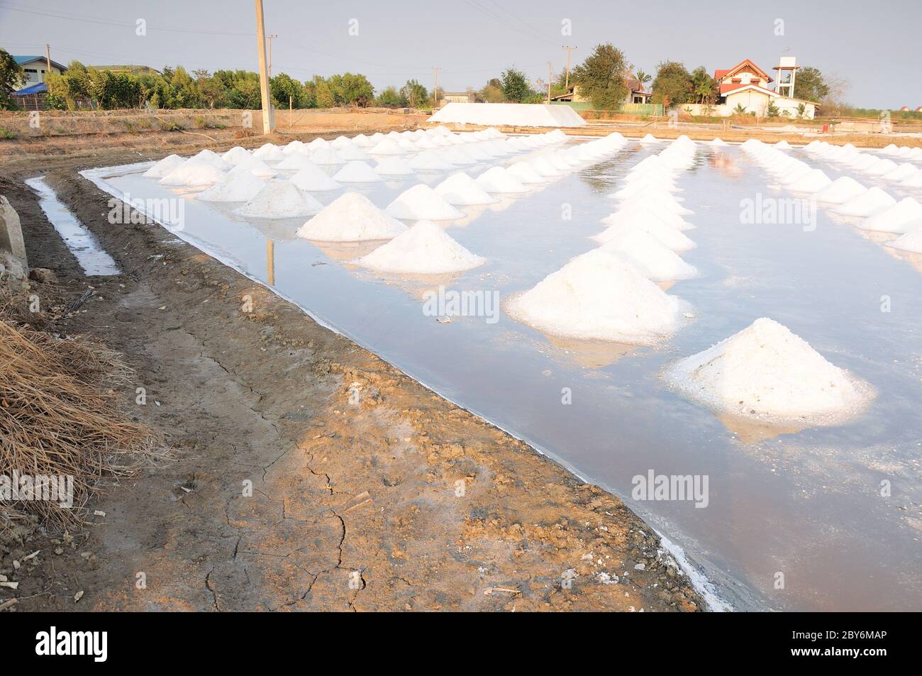 Salty foo hi-res stock photography and images - Alamy
