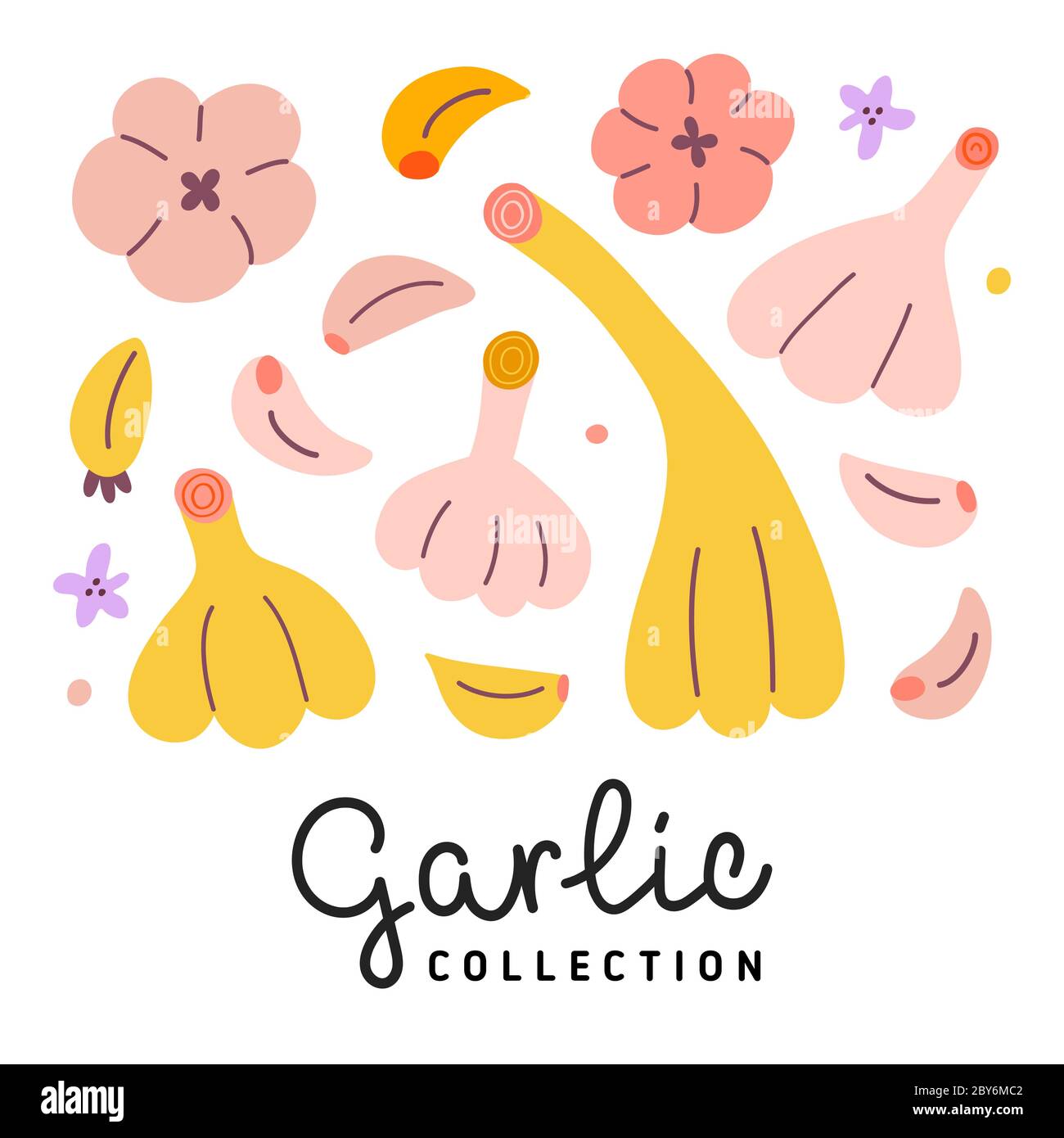 Garlic Cartoon Drawing