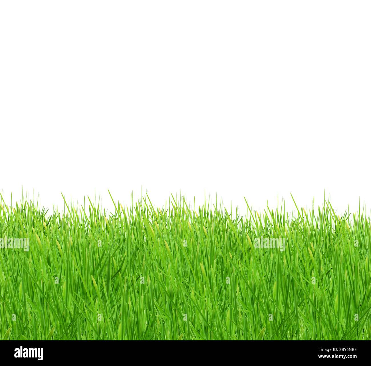 Isolated green grass Stock Photo - Alamy