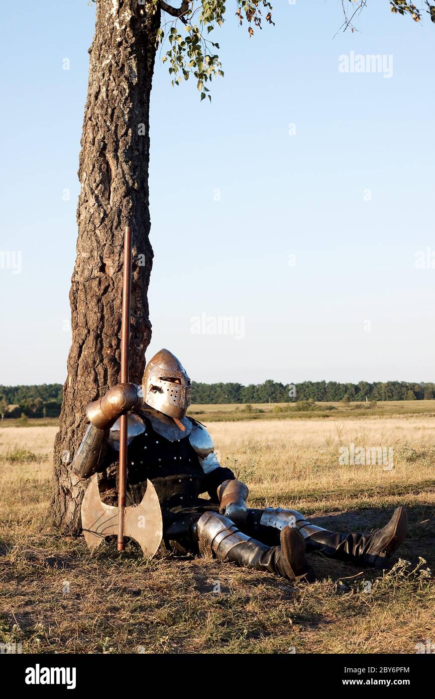 Medieval knight in the field with an axe Stock Photo - Alamy