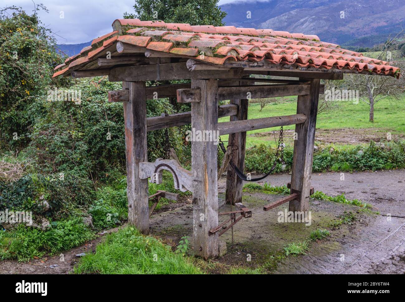 Oxen in harness hi-res stock photography and images - Alamy