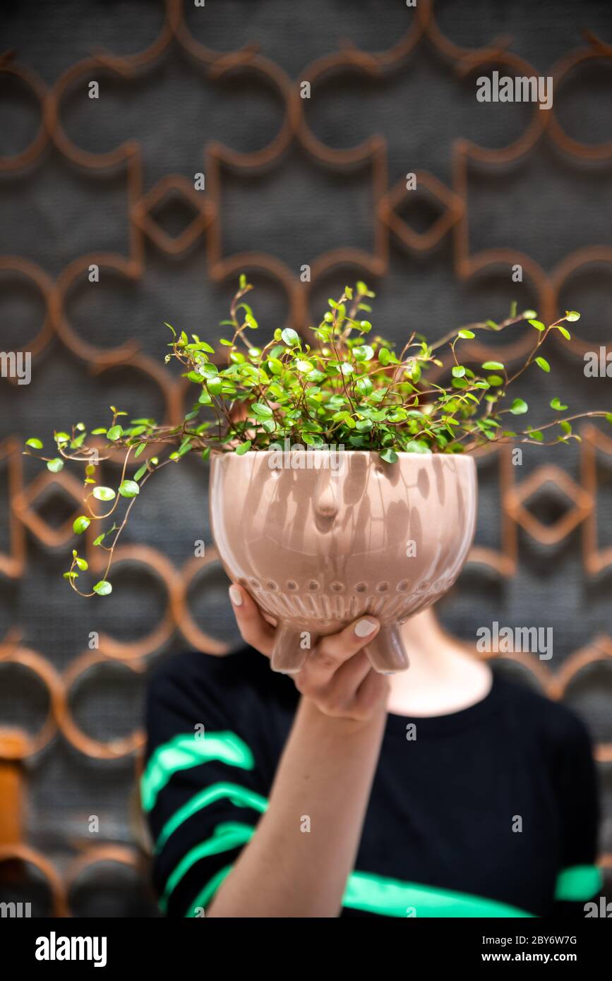 Woman holds pot in hi-res stock photography and images - Alamy